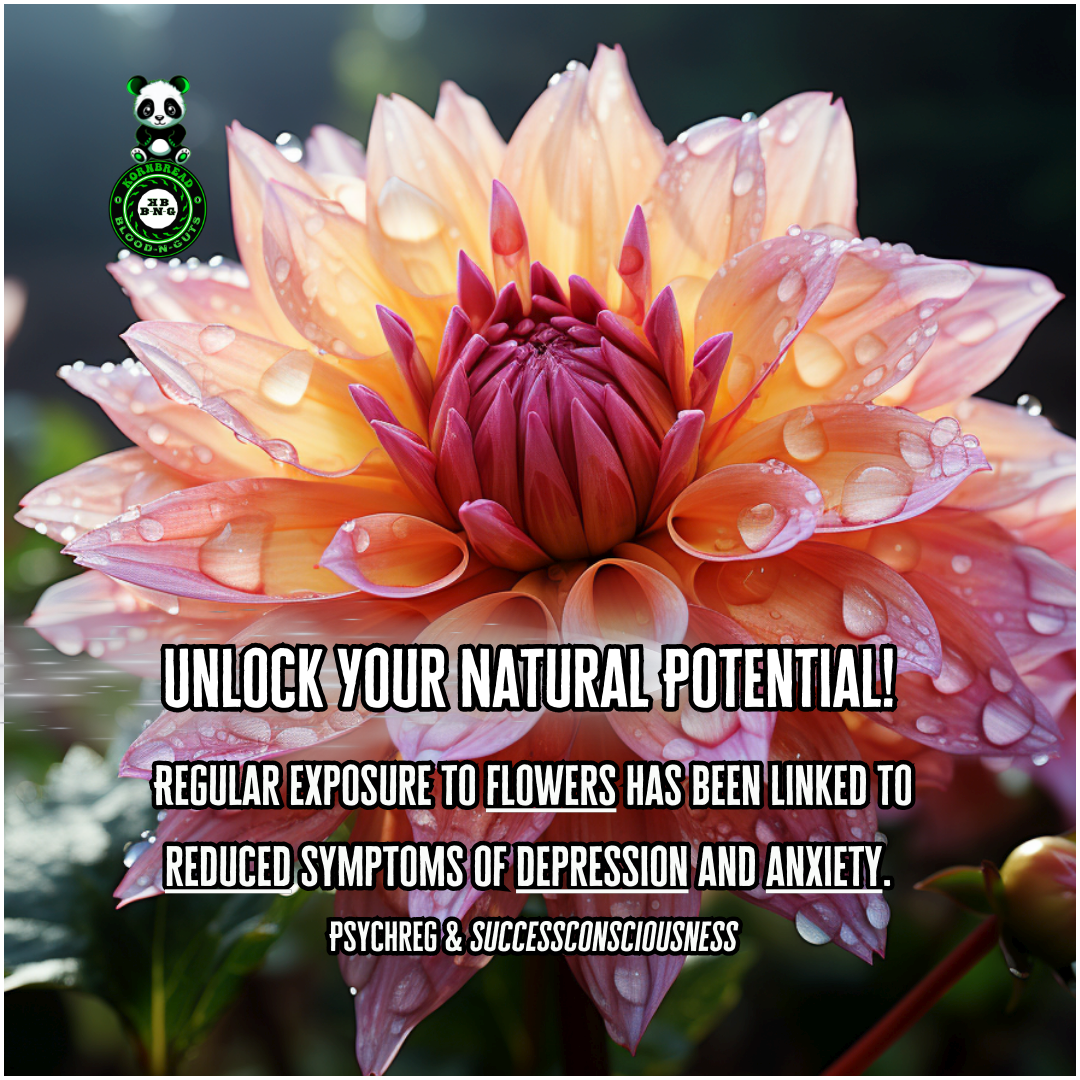 Flowers And Depression – KBBNG