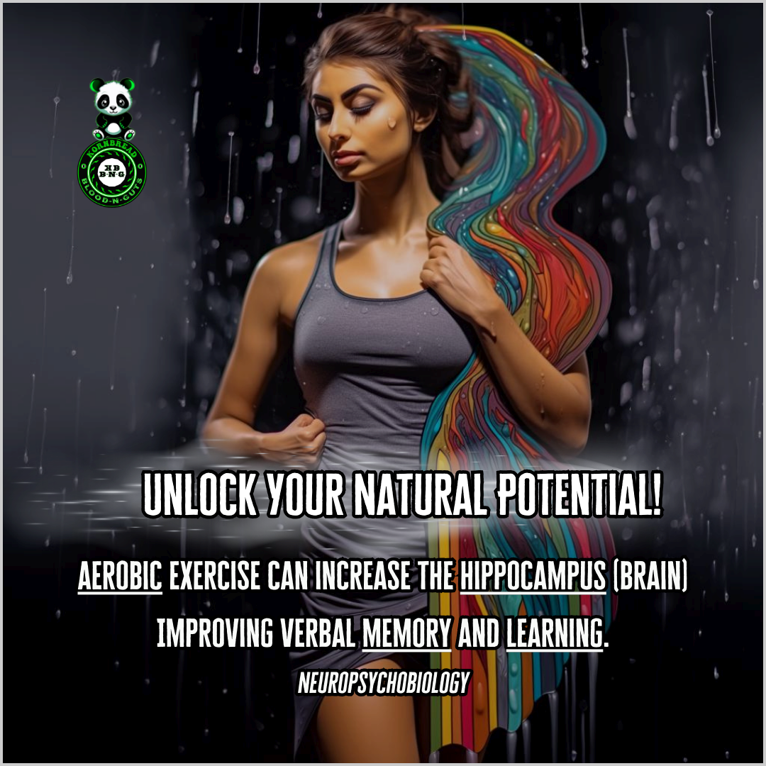 Stronger Brain – KBBNG