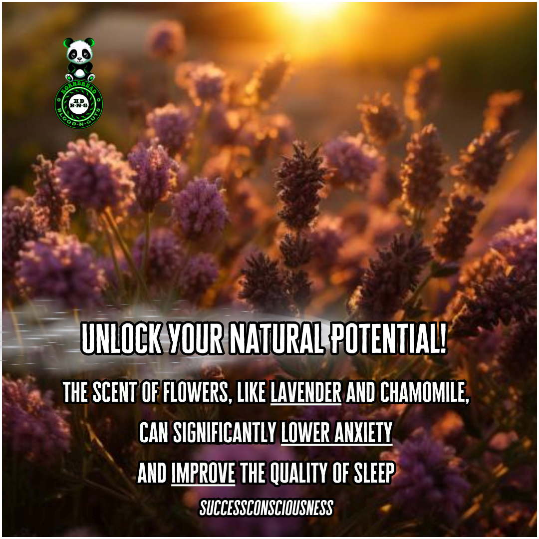 Flowers And Sleep – KBBNG